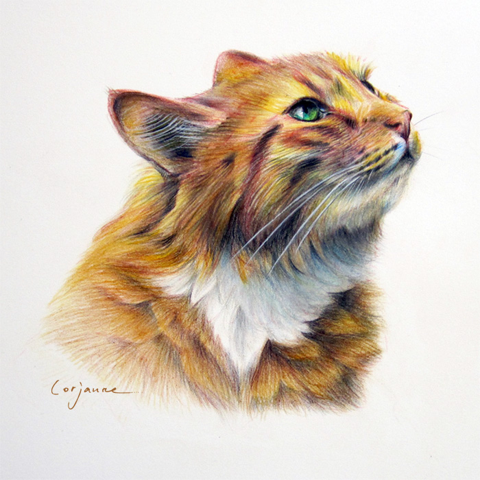 Laure Simonin Peintures – Mon portfolio